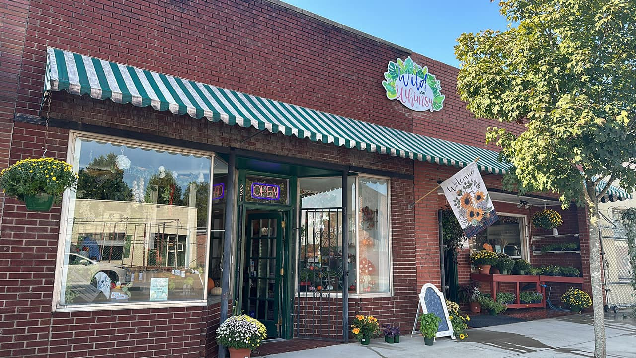 Wild and Whimsy Living